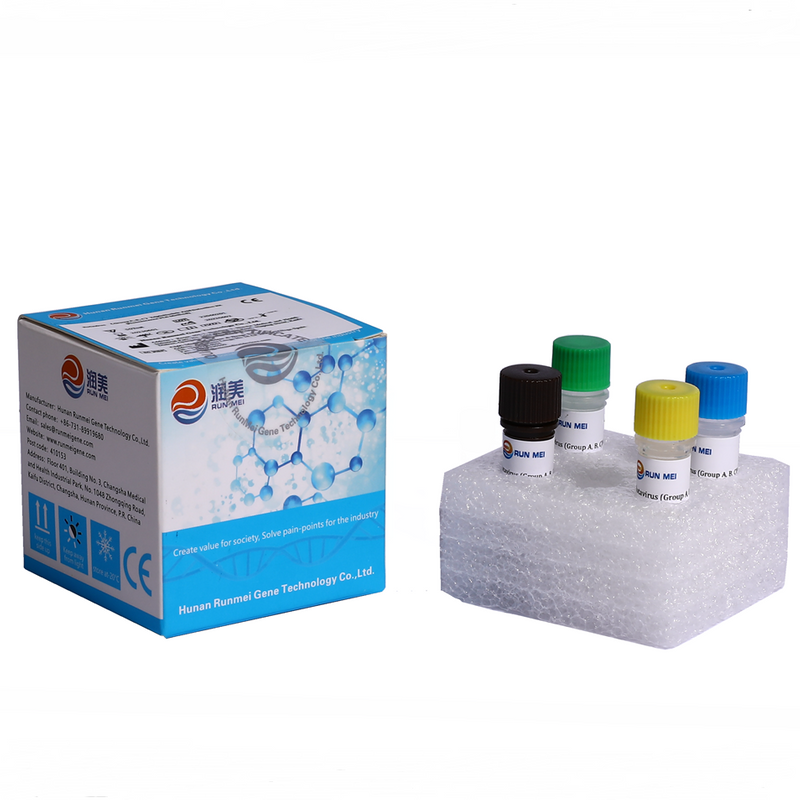 Rotavirus Real Time PCR Detection Kit - Buy Rotavirus, Rotavirus PCR ...